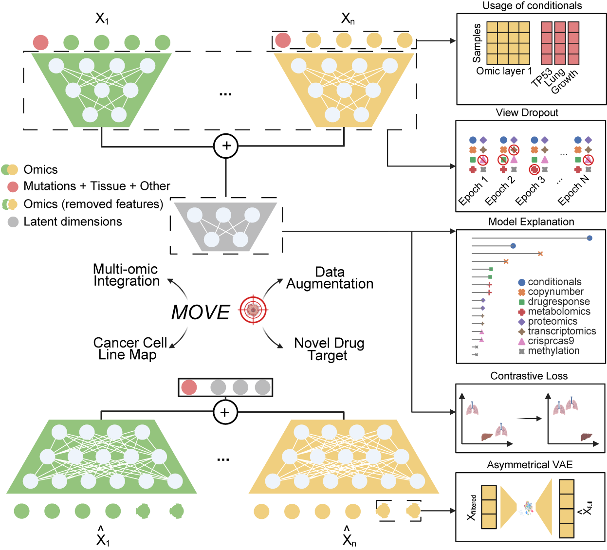 Synthetic augmentation of cancer cell line multi-omic datasets using unsupervised deep learning ...